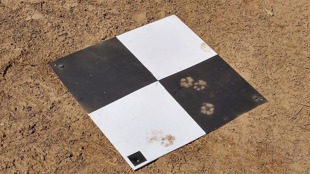 What Is Distortion in Geography? [New for 2025]